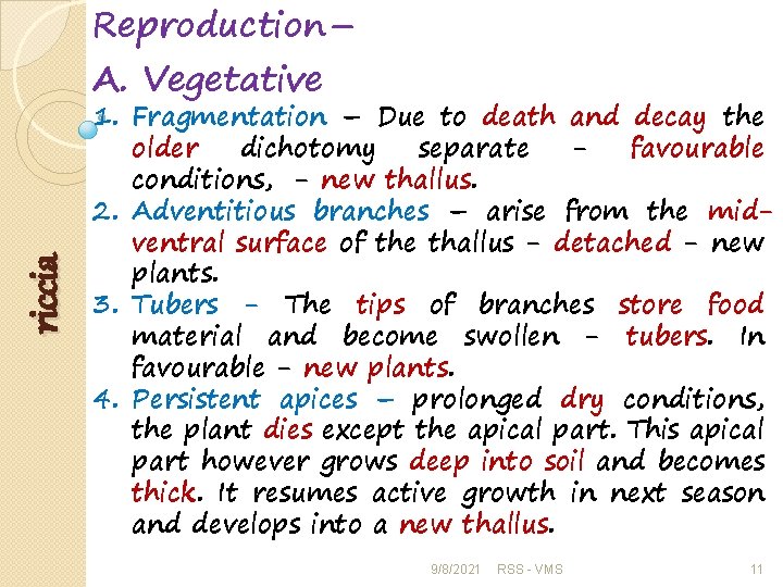 riccia Classification Systematic position Kingdom Plantae Chorophyll is
