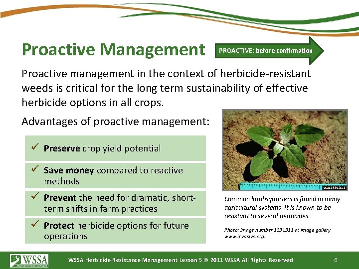 Principles of Managing Herbicide Resistance Lesson 5 The