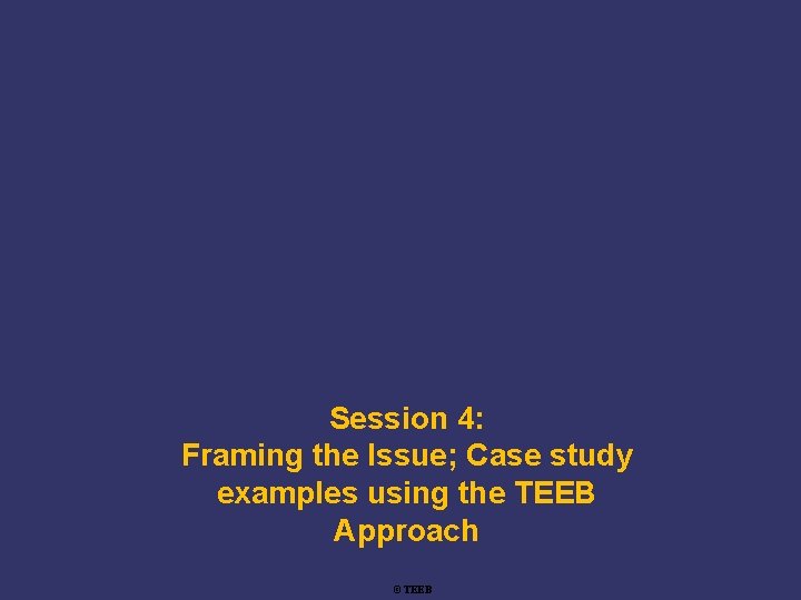 Session 4 Framing the Issue Case study examples