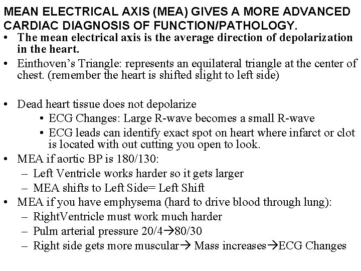 Heart Functions the ECG and the MEA Feb
