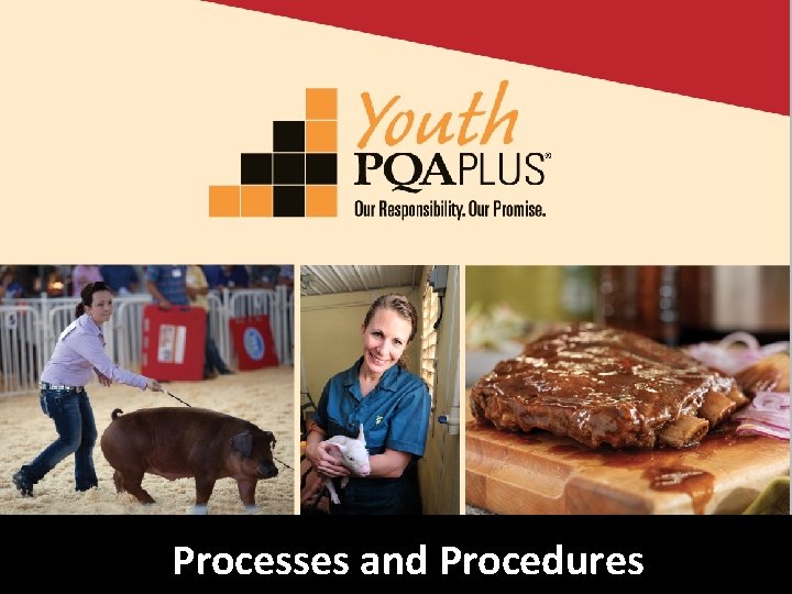 Processes and Procedures Topics Youth PQA Plus Changes