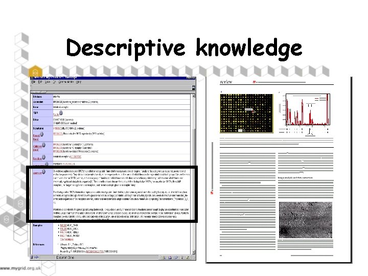 my Grid Personalised eBiology on the Grid Professor