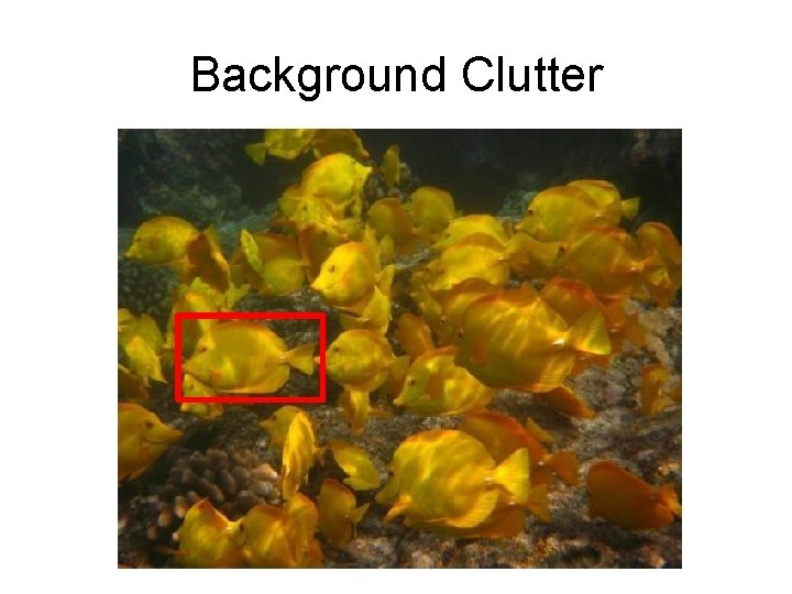 Efficient Visual Object Tracking with Online Nearest Neighbor