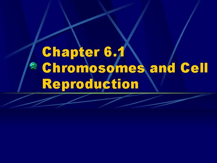 Chapter 6 1 Chromosomes and Cell Reproduction Reasons
