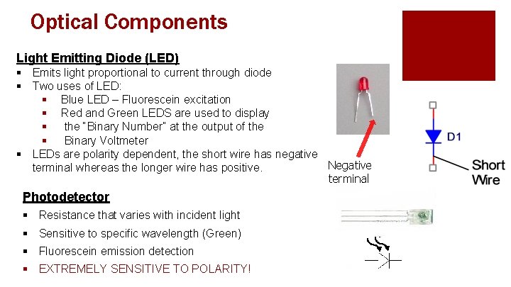 Detection Circuit ENGR 1182 03 Pre Lab Trim