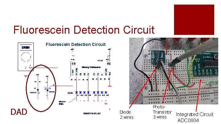 Detection Circuit ENGR 1182 03 Pre Lab Trim