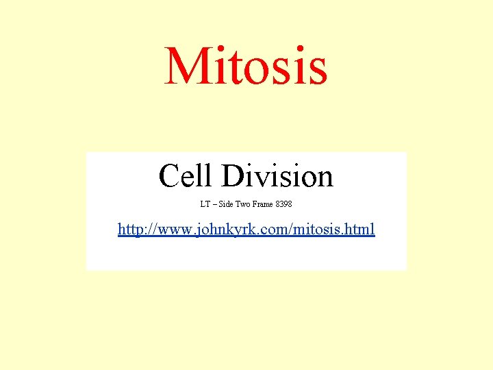 Mitosis Cell Division LT Side Two Frame 8398