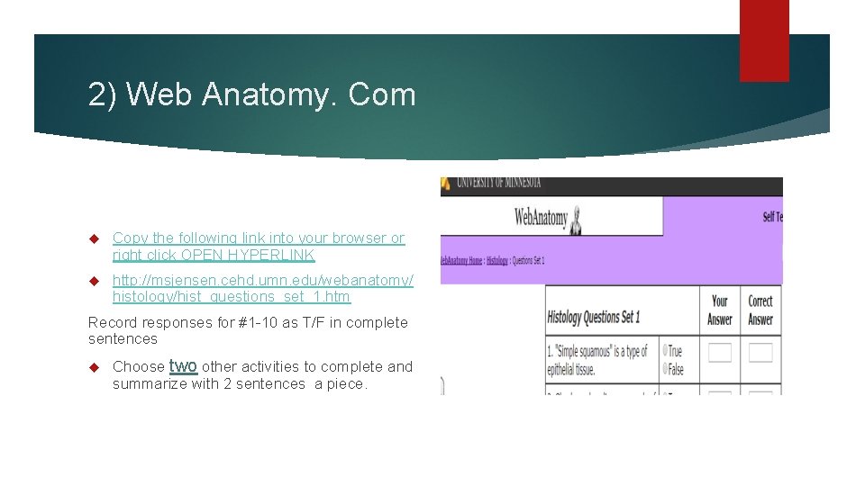 Anatomy Computer Lab Instructions Cell Tissues Review p