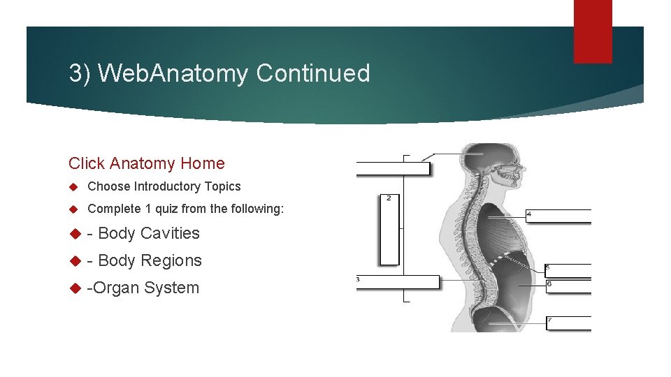 Anatomy Computer Lab Instructions Cell Tissues Review p
