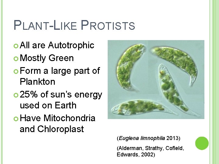 PROTISTA By Cassie Jacob Kevin Dominic Braden INTRODUCTION