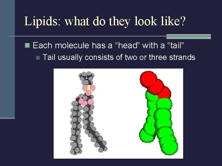 Organic Compounds Chapter 2 Biochemistry Lipids Carbohydrates and