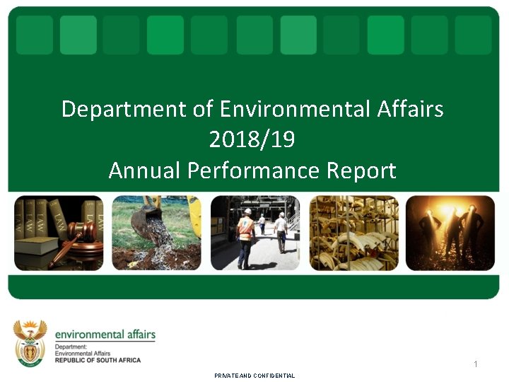 Department of Environmental Affairs 201819 Annual Performance Report