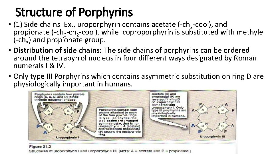 Porphyrins and bile pigment Porphyrins Structure of Porphyrins