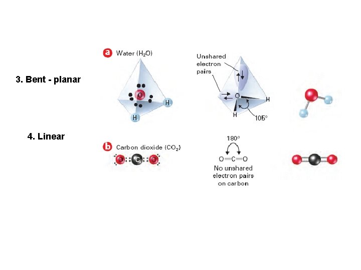 When electrons are shared between 2 atoms the