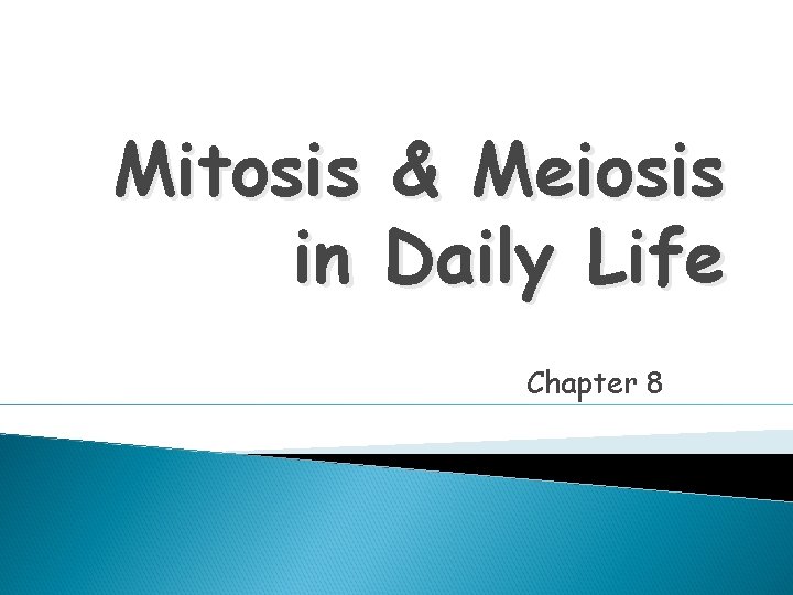 Mitosis Meiosis in Daily Life Chapter 8 Objectives