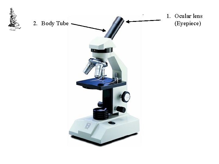 Microscope Basics 1 Ocular lens Eyepiece 2 Body