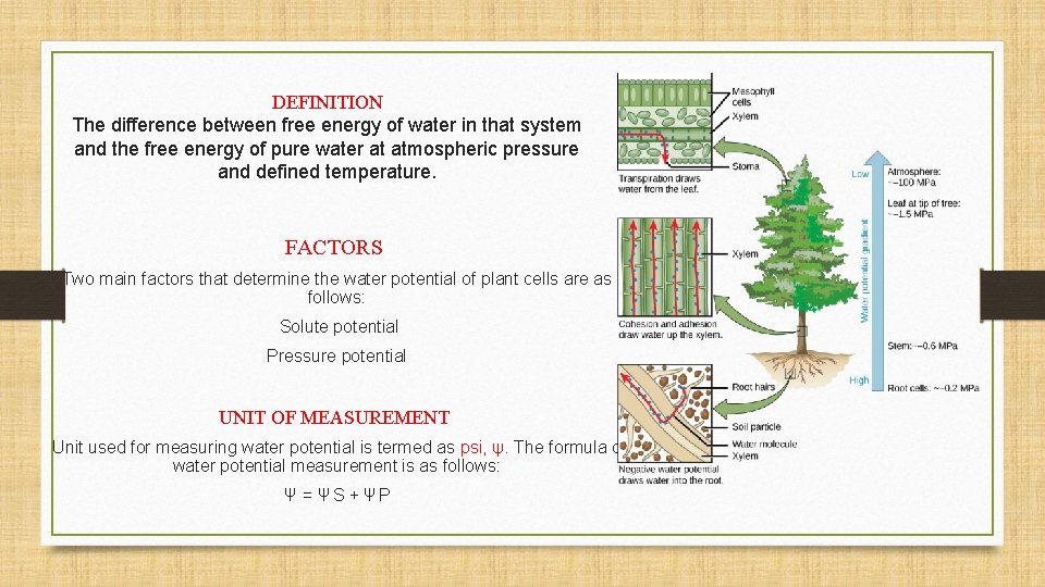 DEFINITION The difference between free energy of water