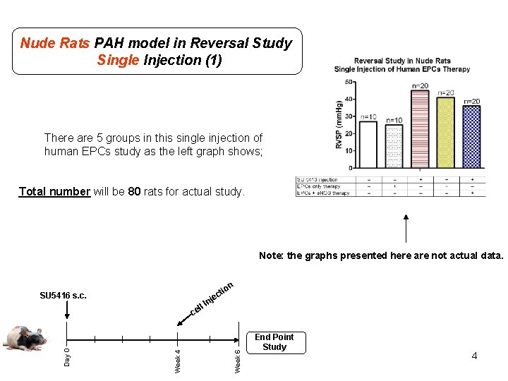 RESCUE OF PLEXOGENIC PULMONARY ARTERIAL HYPERTENSION USING STEM