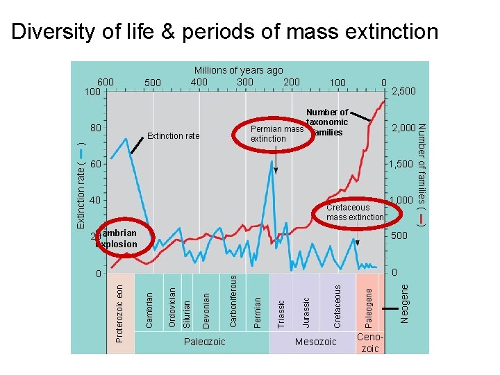 Endosymbiosis Evolution of eukaryotes origin of chloroplasts engulfed
