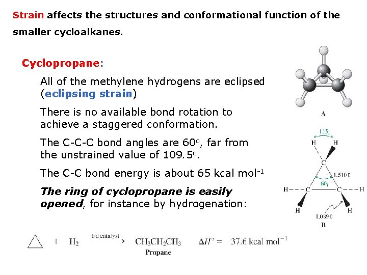 CHAPTER 4 Cyclic Alkanes 1 4 1 Names