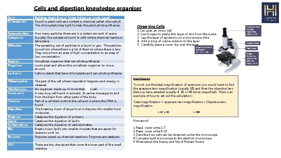 Cells and digestion knowledge organiser Cells Chloroplasts Concentration