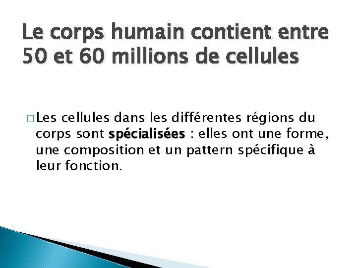 Les types de cellules Le corps humain contient