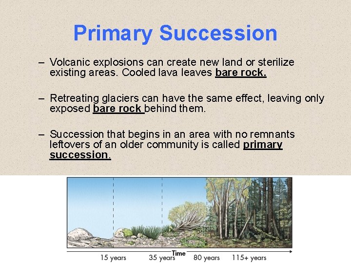 Succession THINK ABOUT IT WARMUP What would happen