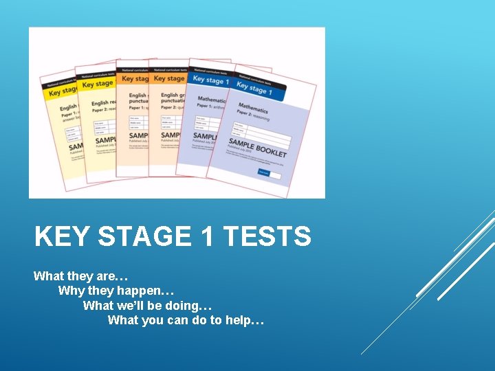 KEY STAGE 1 TESTS What they are Why