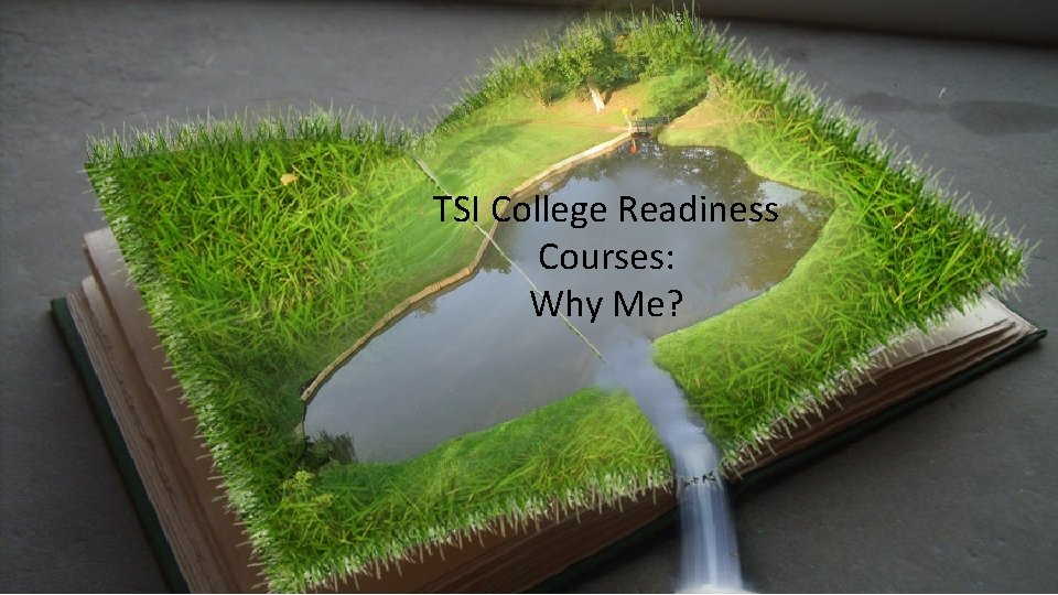 TSI College Readiness Courses Why Me House Bill