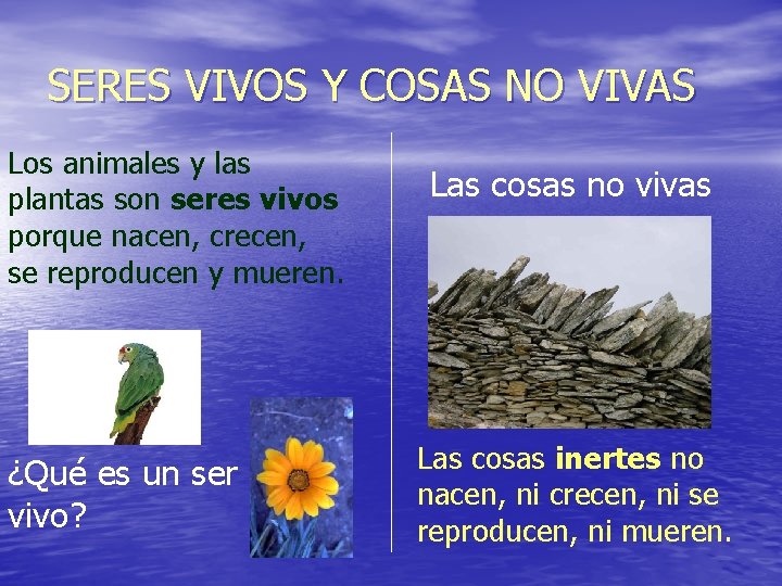 SOMOS SERES VIVOS 3 de Primaria Unidad Didctica