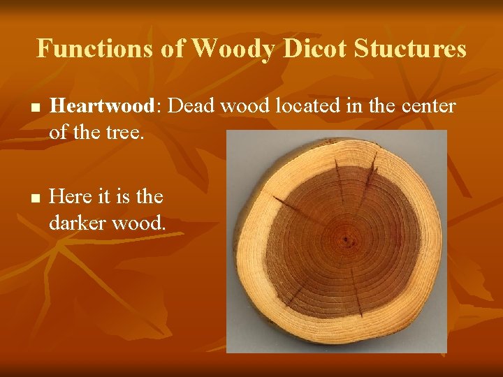 Sustainable Resources 1112 Forestry Unit Introduction to Trees