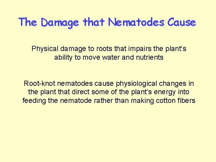 How to Identify Nematode Problems and Why It