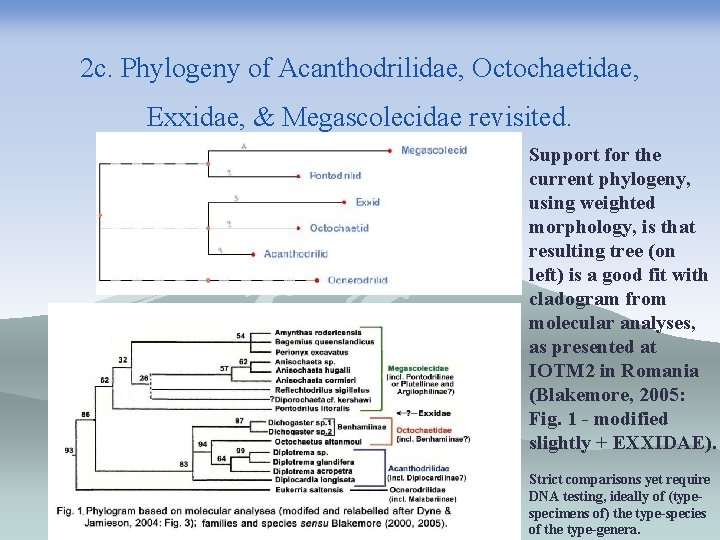 Summary of IOTM 3 International Oligochaeta Taxonomy Meeting