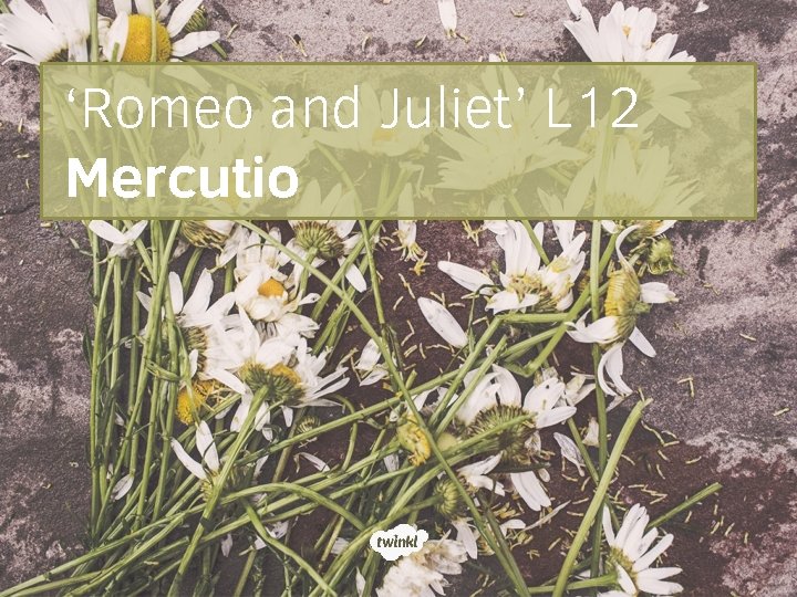 Romeo and Juliet L 12 Mercutio Lesson Objective