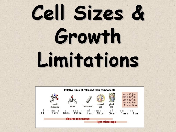 Cell Sizes Growth Limitations EQ What factors controls
