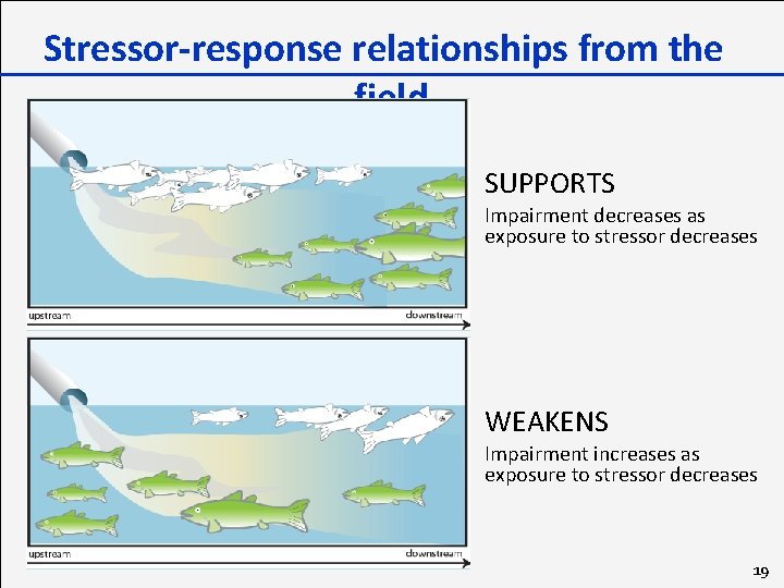 Steps 3 4 Evaluating types of evidence Detect
