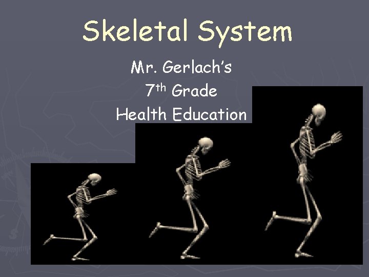 Skeletal System Mr Gerlachs 7 th Grade Health