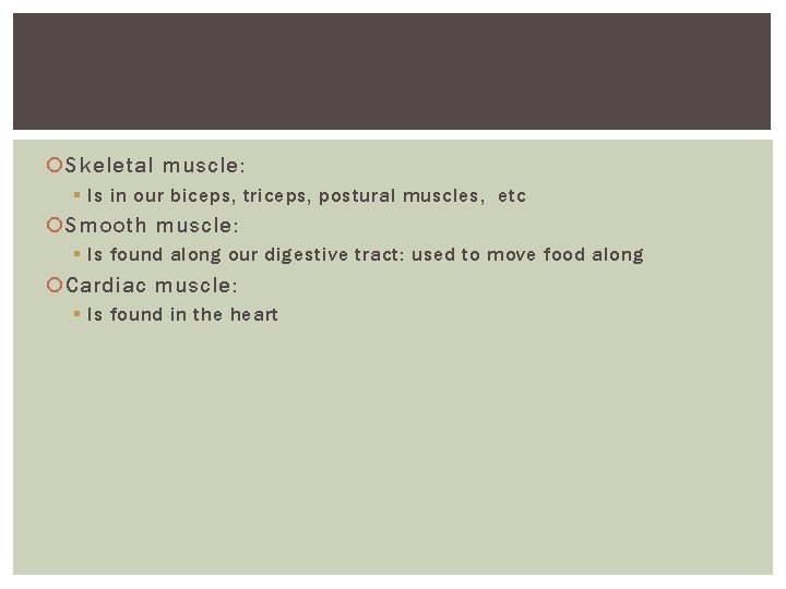 CHAPTER 7 STUDY GUIDE MUSCULAR SYSTEM Anatomy Bowl