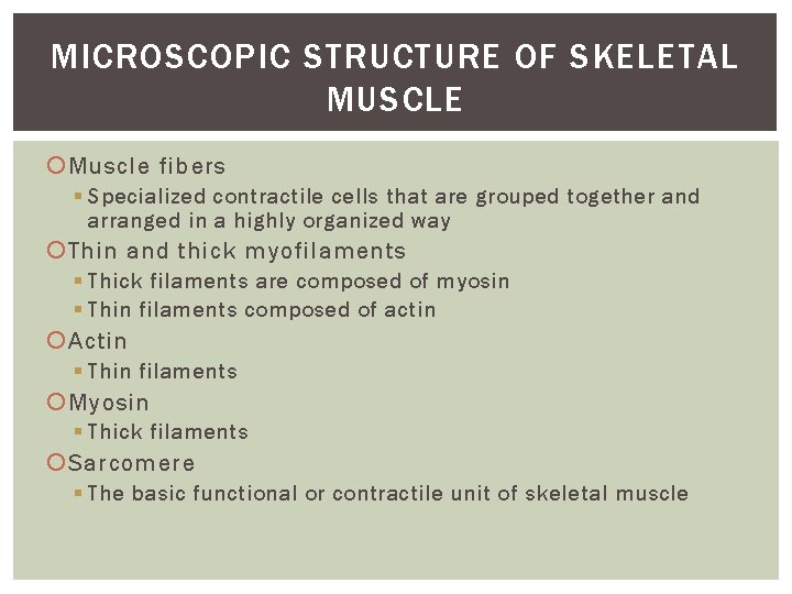 CHAPTER 7 STUDY GUIDE MUSCULAR SYSTEM Anatomy Bowl