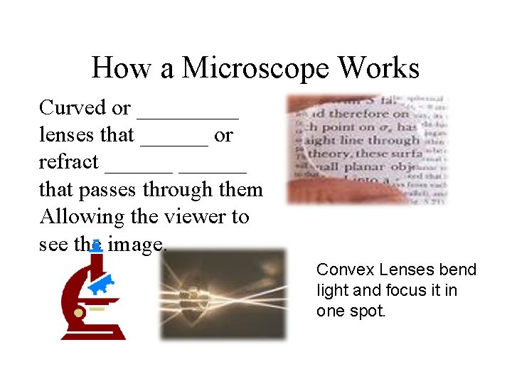 T Trimpe 2005 http sciencespot net Microscope Basics
