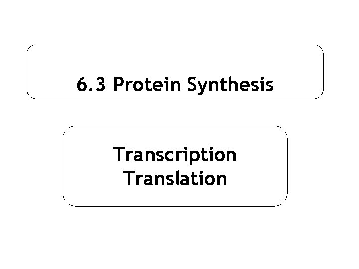 6 3 Protein Synthesis Transcription Translation Learning outcomes
