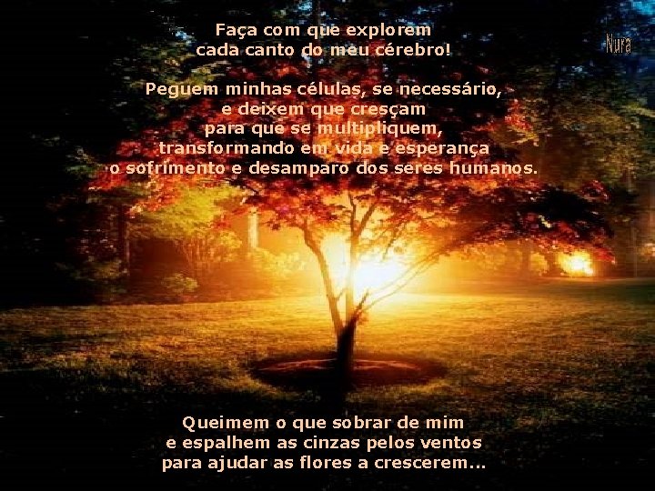 UMA REALIZAO Robert N Test CLIQUE Chegar o