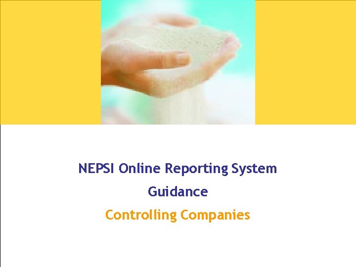 NEPSI Online Reporting System Guidance Controlling Companies 1