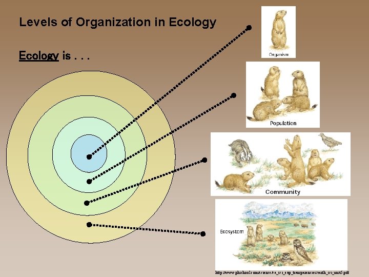 Levels of Organization in Ecology is http www