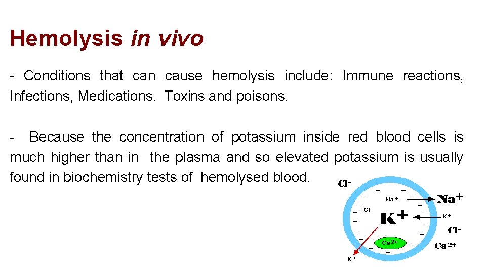 BCH 471 Hemolysing Agents Detection of Blood Blood