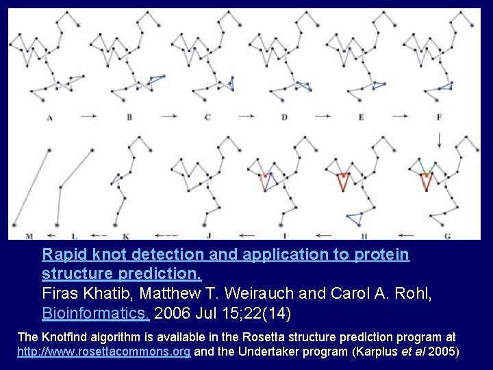 Knot theory and proteins Isabel K Darcy University