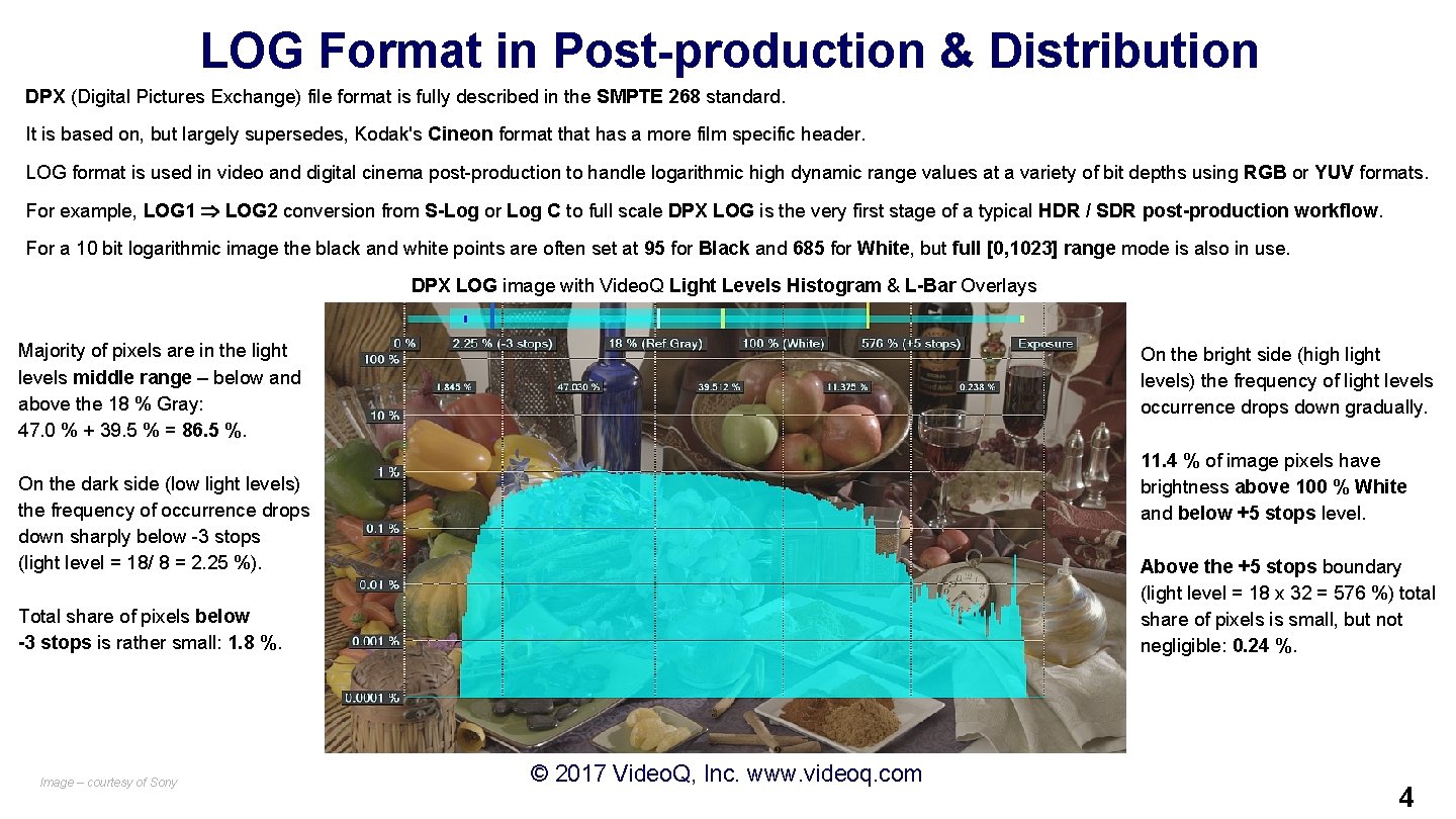 Victor Steinberg Roderick Snell Video Standards Signals Formats