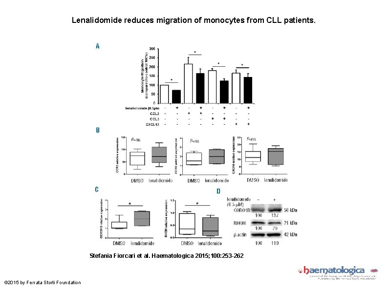 Lenalidomide interferes with tumorpromoting properties of nurselike cells