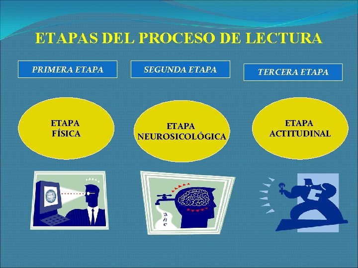 PROCESO DE LECTURA 1 LA LECTURA CONCEPTO Es