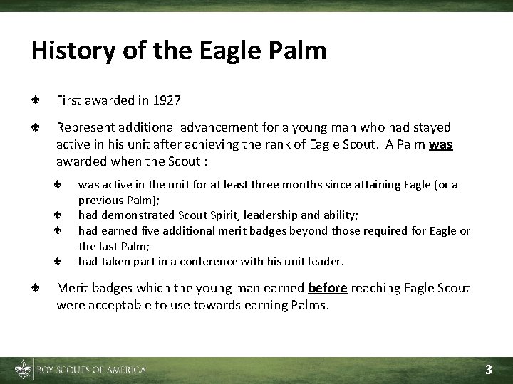 Advancement Education BSA Eagle Palms Life to Eagle